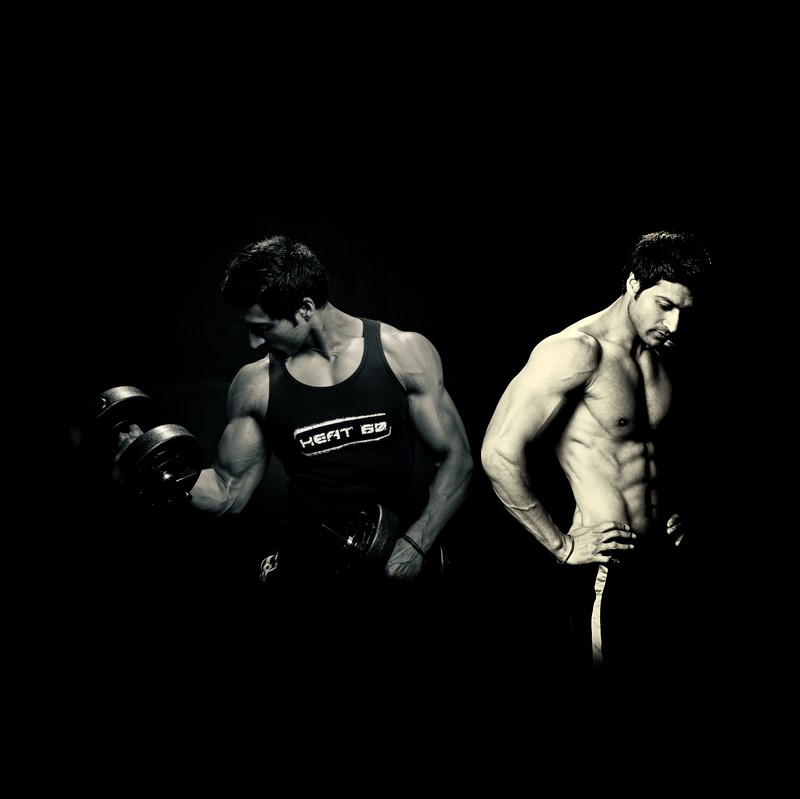 FitVerse - The best fitness gym in the town